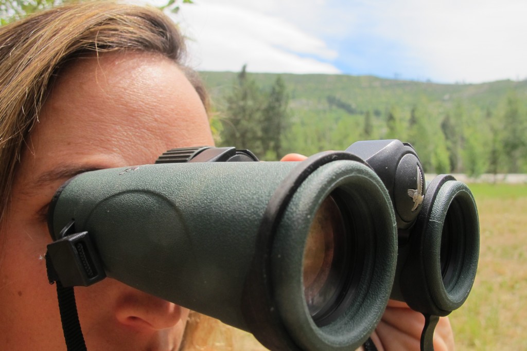 Les 7 meilleures jumelles à regarder - ColinVerdier 🛒